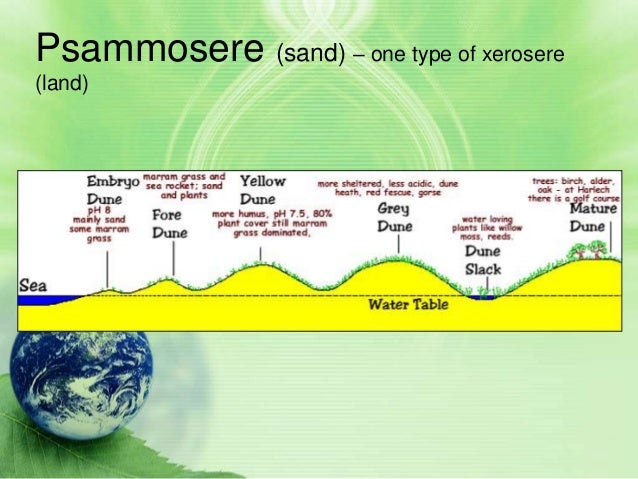 The ecosystem 2.5 2.6 2.7