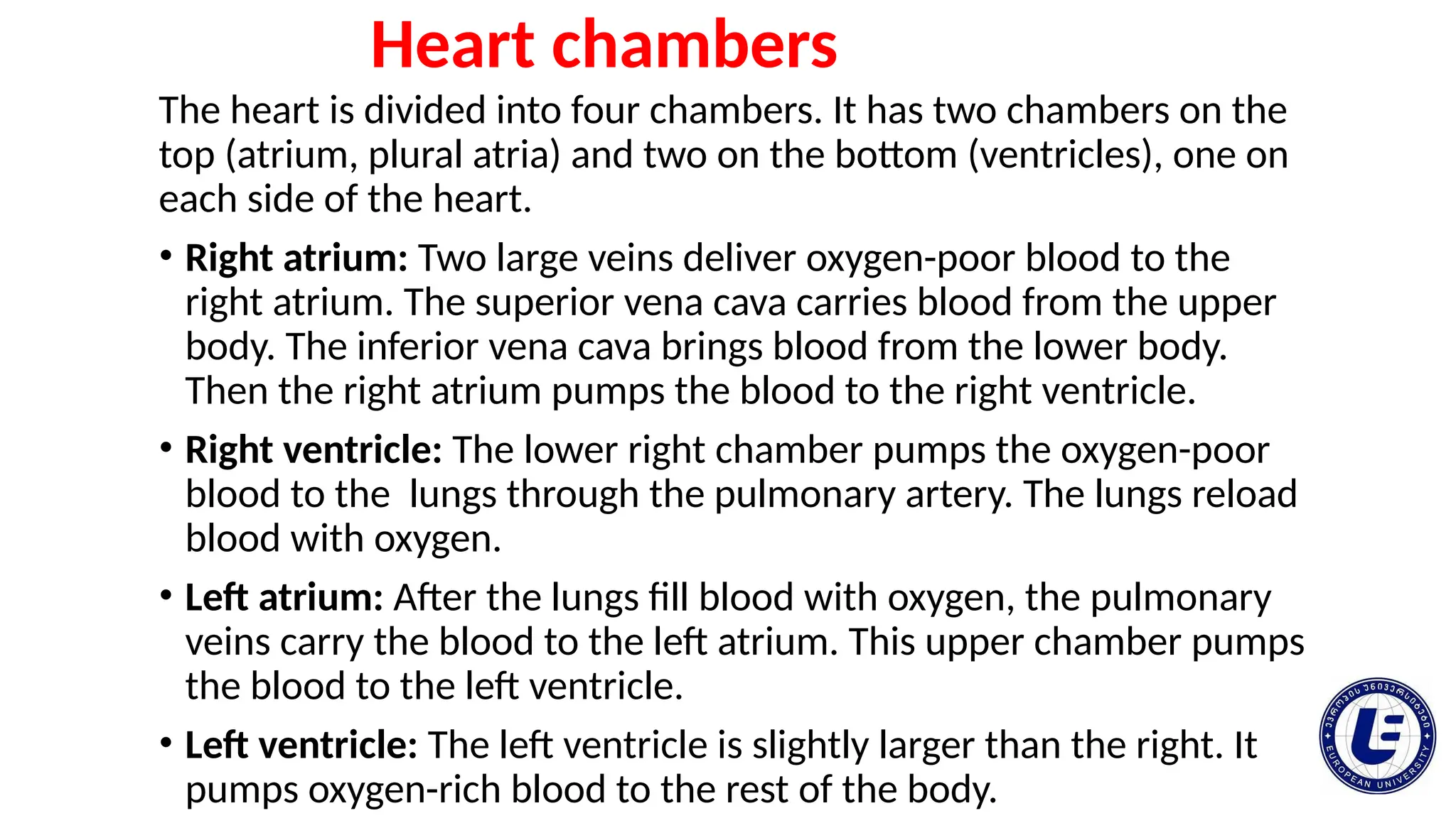 Topic Percussion of the heart ppt EU.pptx