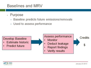 Topic 3 baselines and mrv | PDF