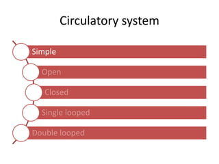 Topic 3 Circulatory System part 1 | PPTX | Heart and Cardiovascular ...