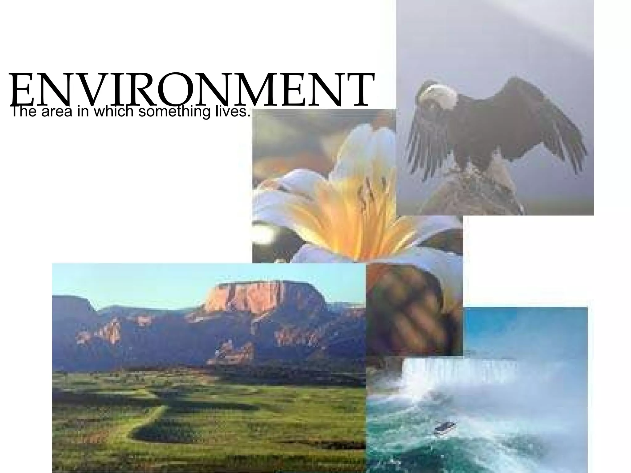 Environment | PPT | Environment | Science