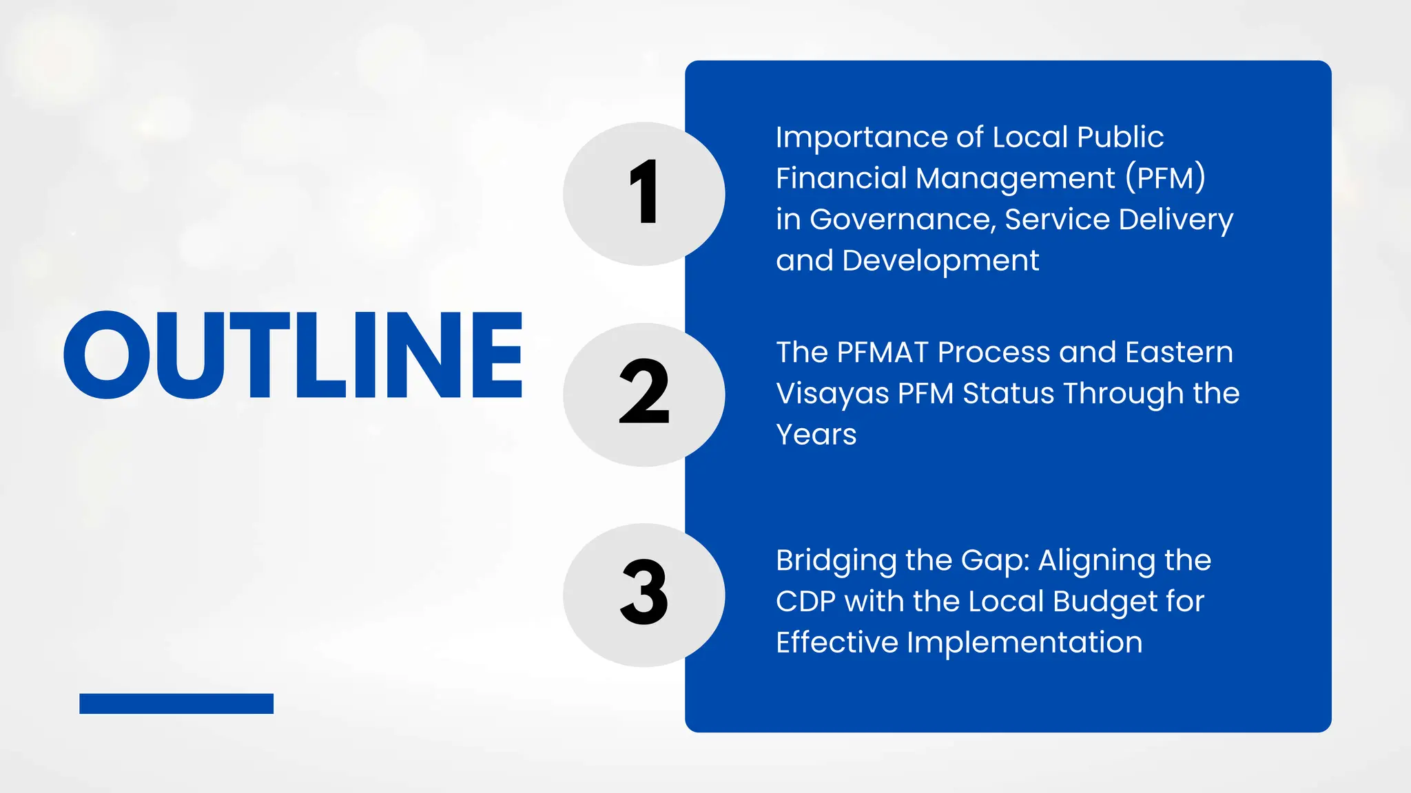 Topic 3 - Public Financial Management and Effective Implementation of ...