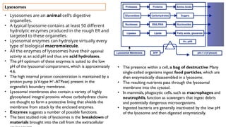 All about Lysosomes and its anatomy, physiology, chemistry and its ...