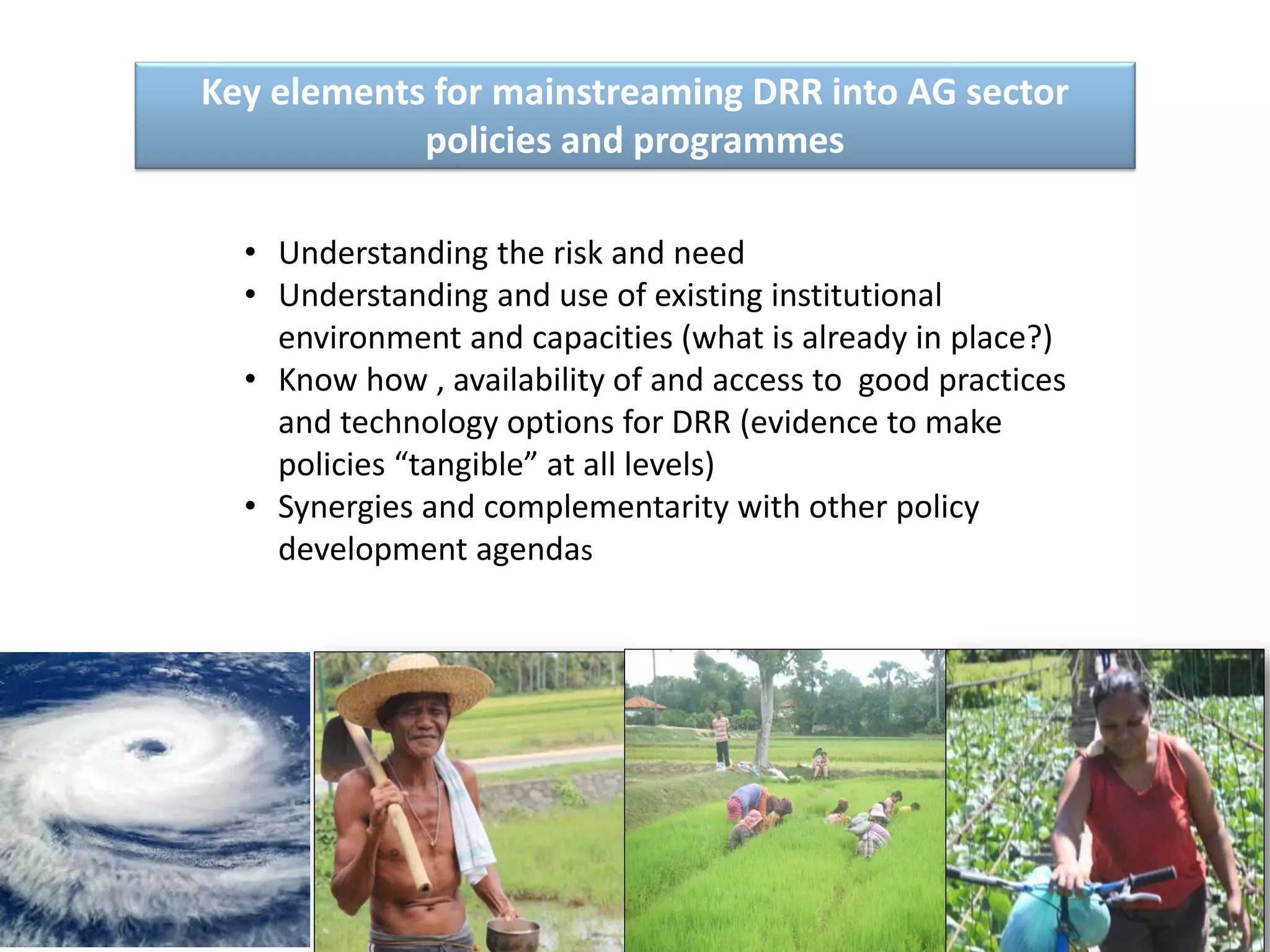 Mainstreaming Disaster Risk Reduction (DRR) into sectoral policies | PDF