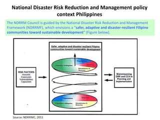 Mainstreaming Disaster Risk Reduction (DRR) into sectoral policies | PDF
