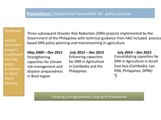 Mainstreaming Disaster Risk Reduction (DRR) into sectoral policies | PDF