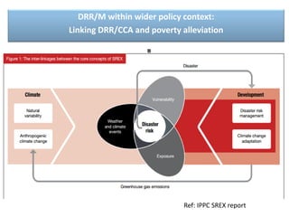 Mainstreaming Disaster Risk Reduction (DRR) into sectoral policies | PDF