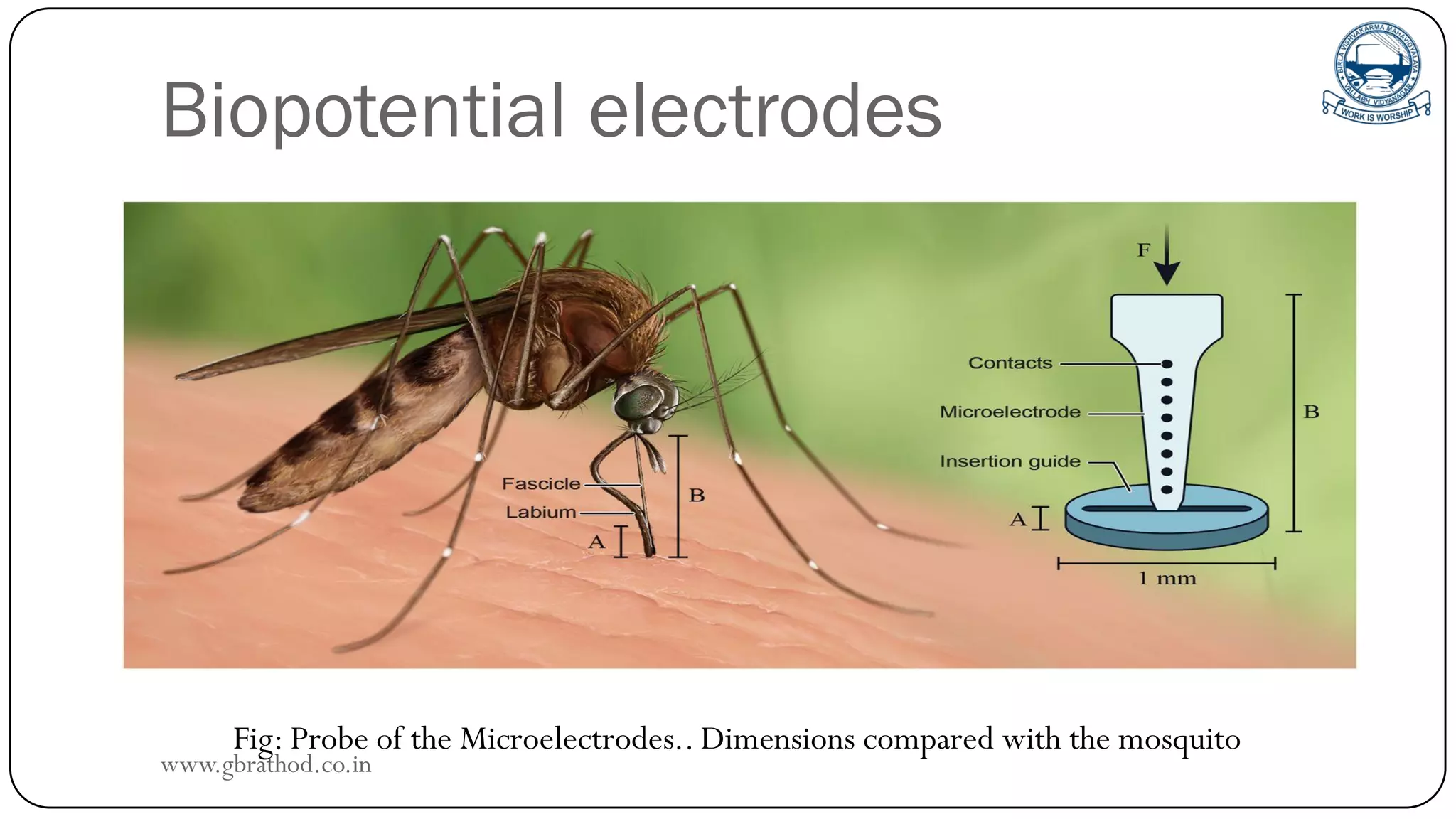 Topic 3 Bioelectrodes-sensors-transducers | PPT