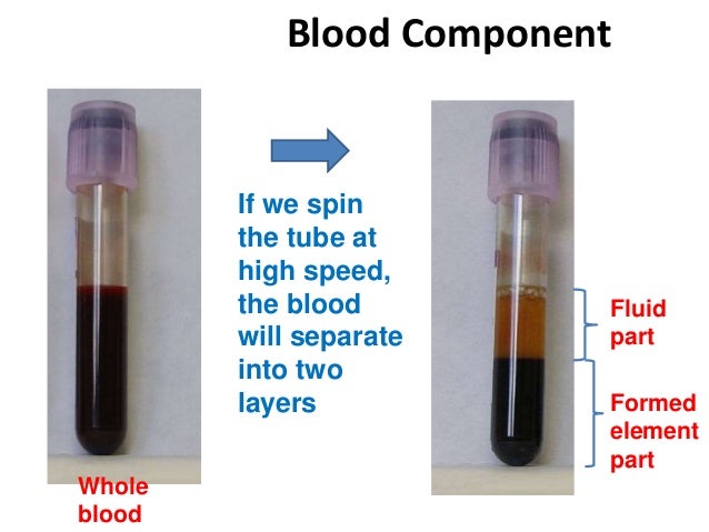 Topic 3 Circulatory System part 2