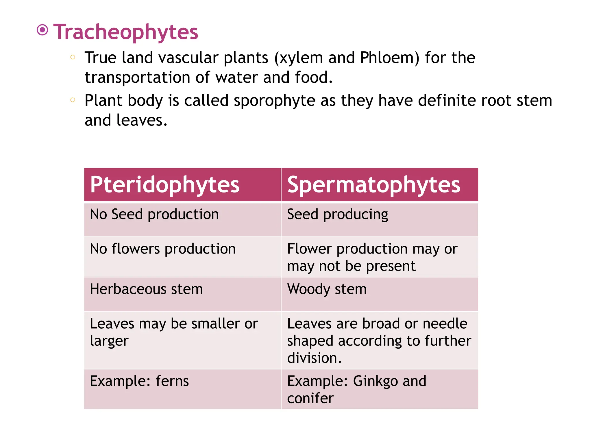 TOPIC 3 CLASSIFICATION OF PLANTS & ANIMALS.pptx