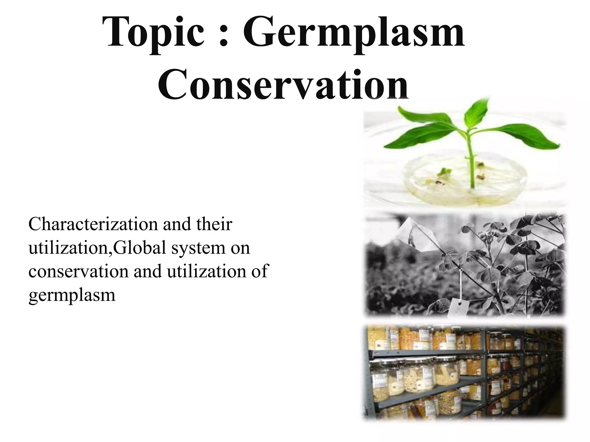 Topic 3 germplasm | PPTX