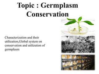 Topic 3 germplasm | PPT