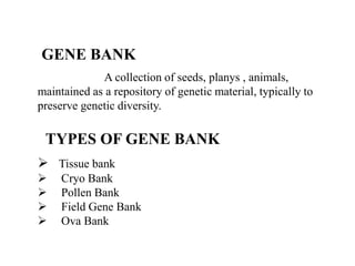 Topic 3 germplasm | PPTX