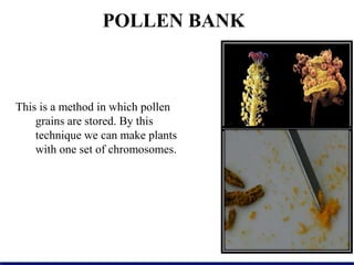 Topic 3 germplasm | PPT