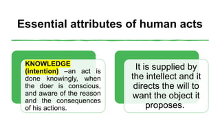 Topic 3 Human Acts and Modifiers of Human Acts (4).pptx