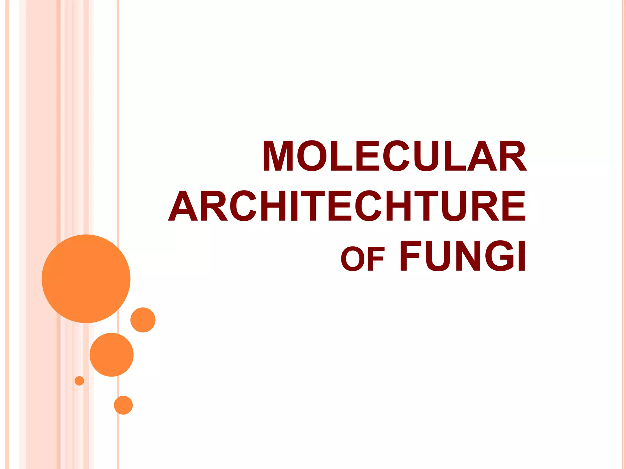 Molecular Architecture of Fungi | PPTX