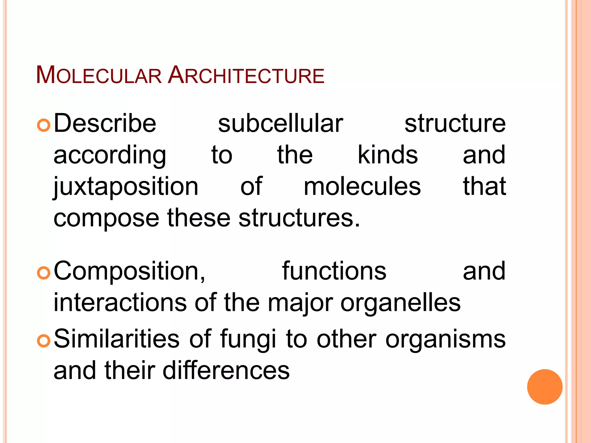 Molecular Architecture of Fungi | PPTX