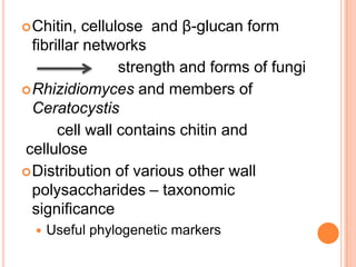 Molecular Architecture of Fungi | PPTX