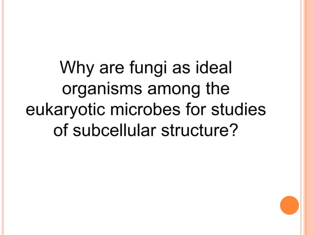 Molecular Architecture of Fungi | PPT