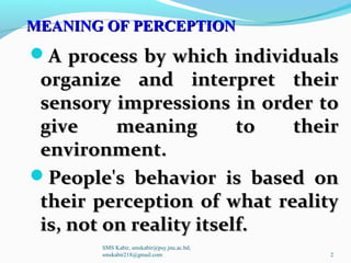 Perception and Individual Decision Making | PPT