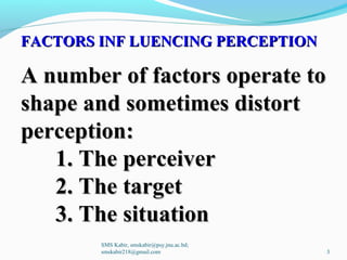 Perception and Individual Decision Making | PPT