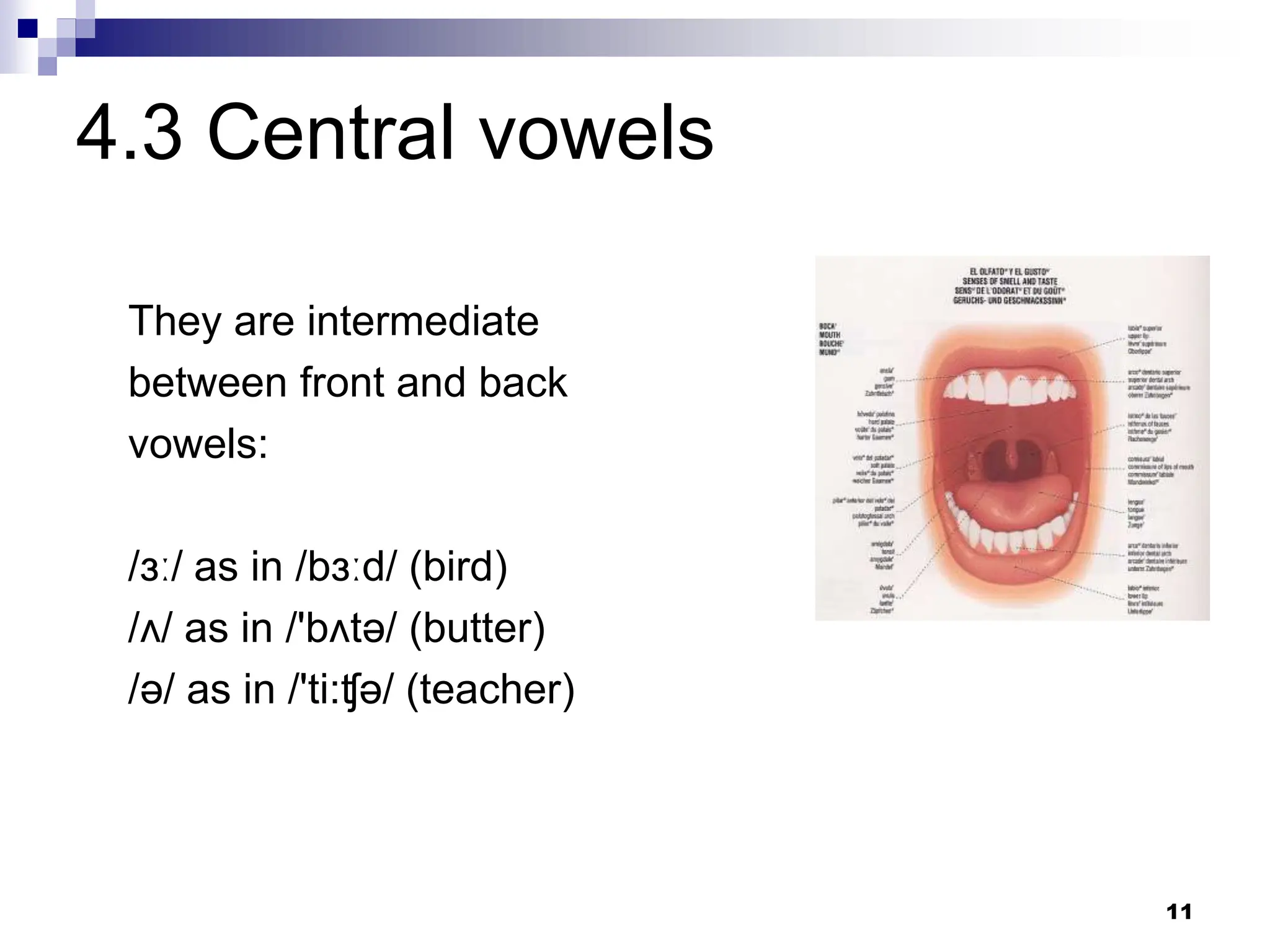 Presentation of Types of the English Vowels | PPT