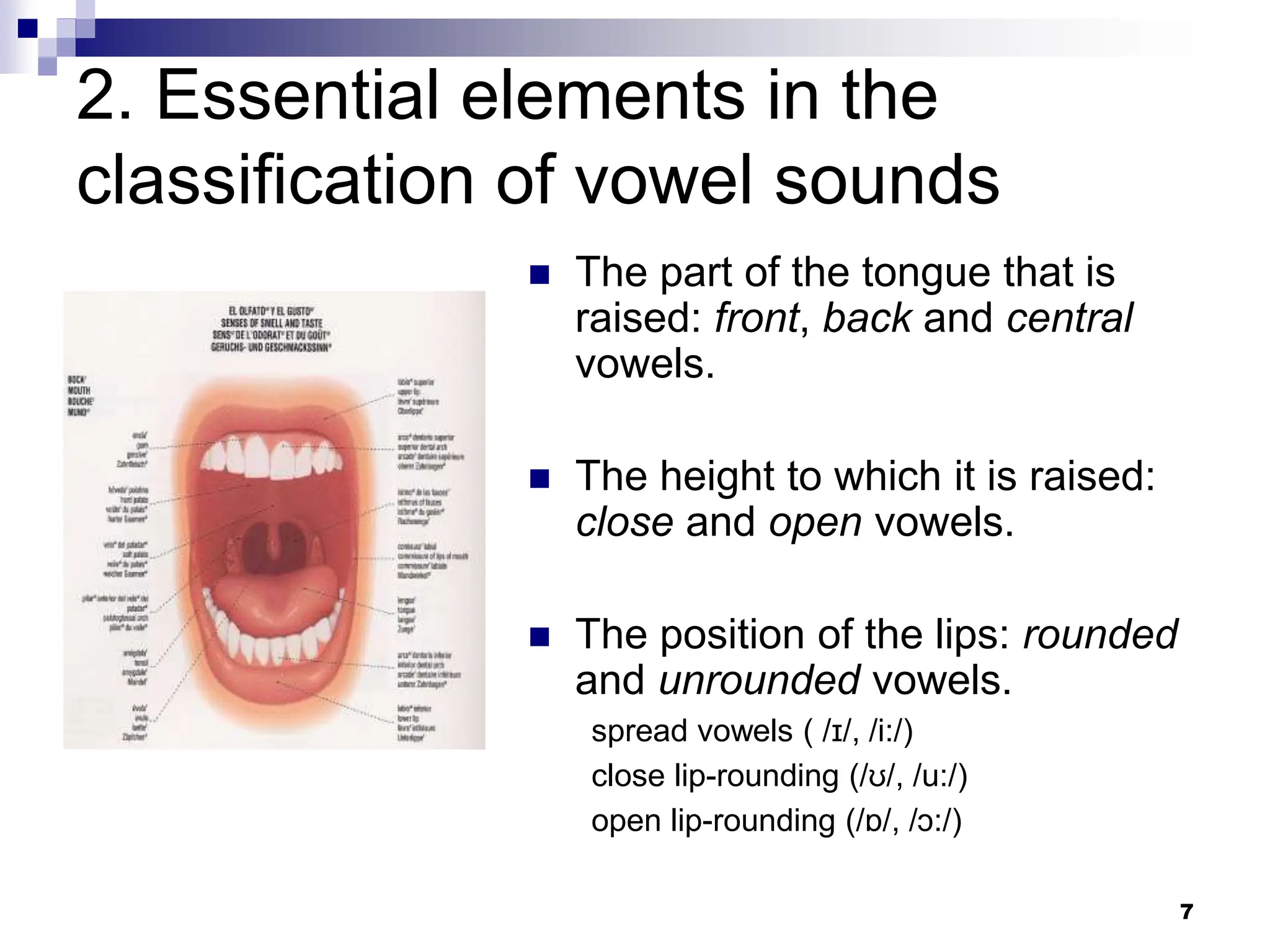 Presentation of Types of the English Vowels | PPT