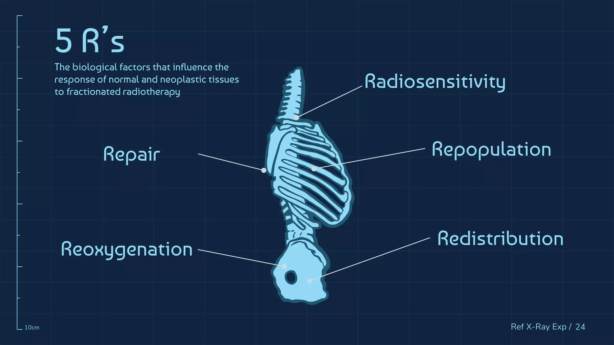 BASIC RADIOBIOLOGY FOR RADIOTHERAPY | PPTX
