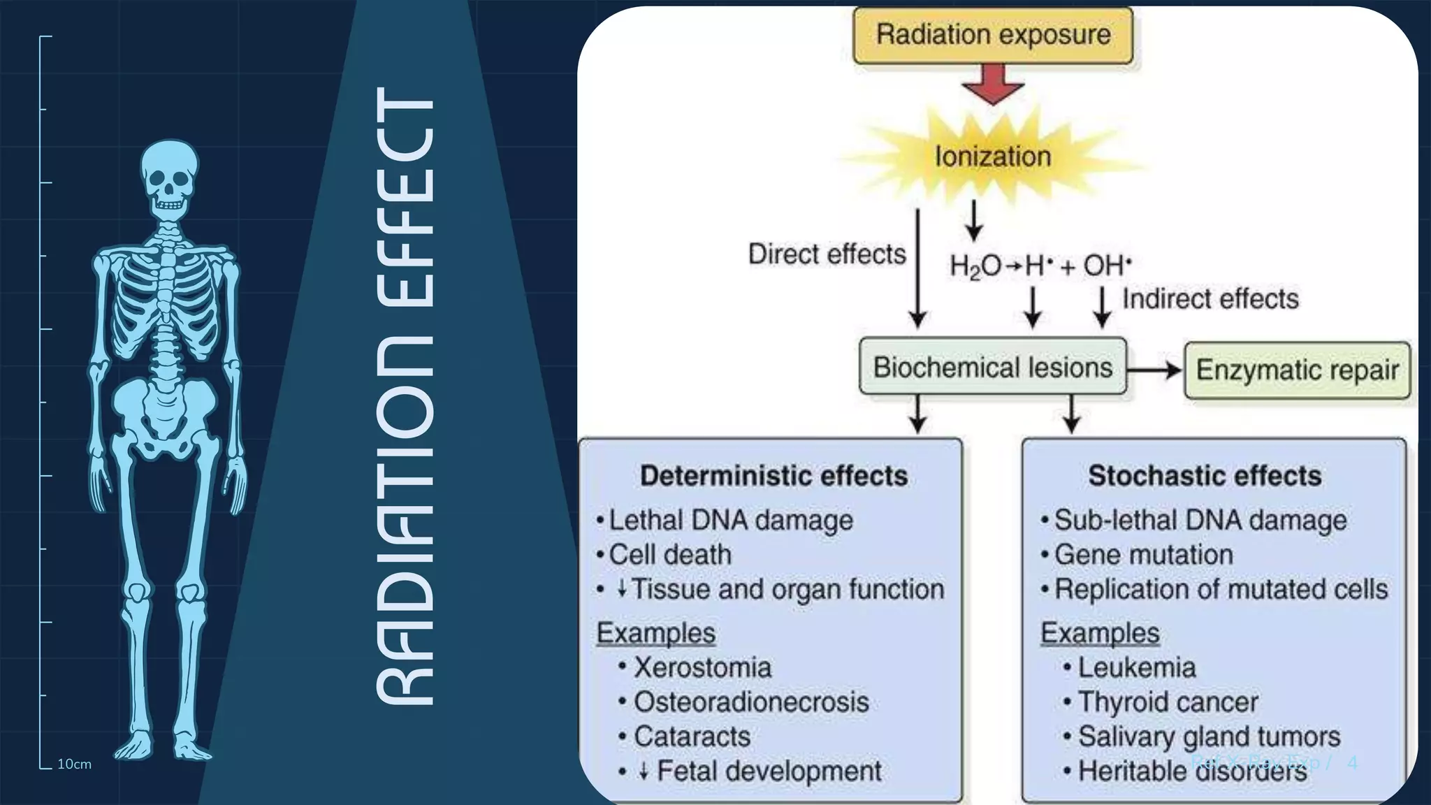 BASIC RADIOBIOLOGY FOR RADIOTHERAPY | PPTX
