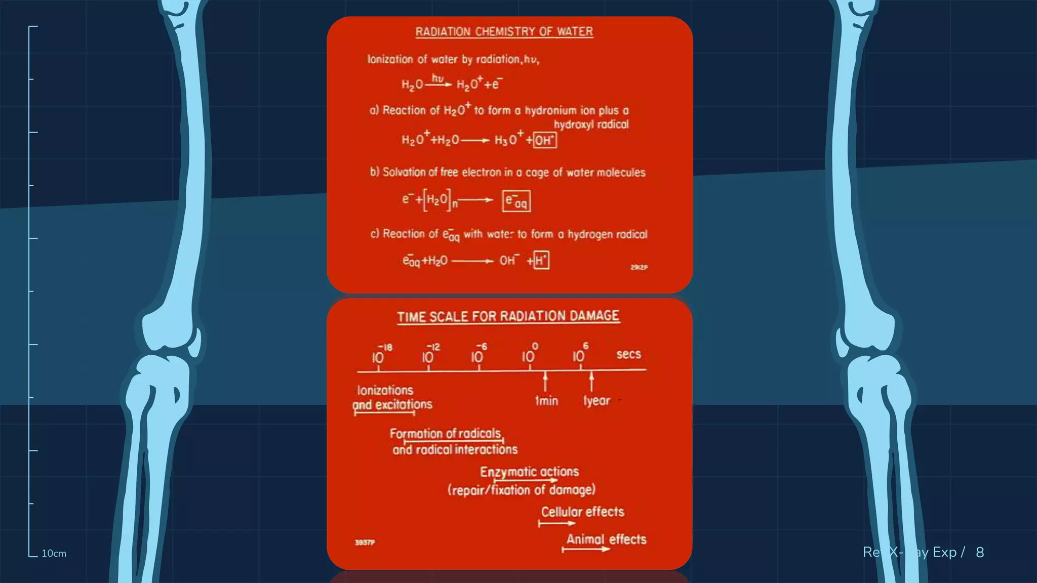 BASIC RADIOBIOLOGY FOR RADIOTHERAPY | PPTX