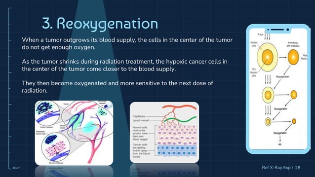 BASIC RADIOBIOLOGY FOR RADIOTHERAPY | PPTX
