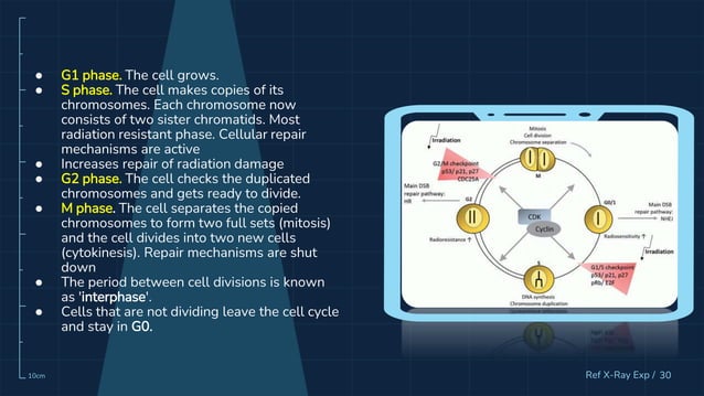 BASIC RADIOBIOLOGY FOR RADIOTHERAPY | PPTX