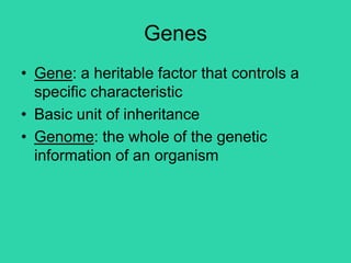 Topic 4: Genetics | PPTX