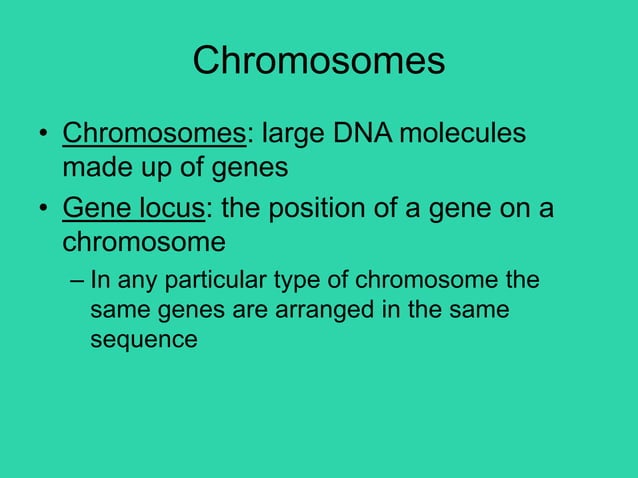 Topic 4: Genetics | PPT