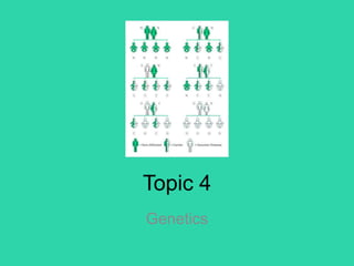Topic 4: Genetics | PPT