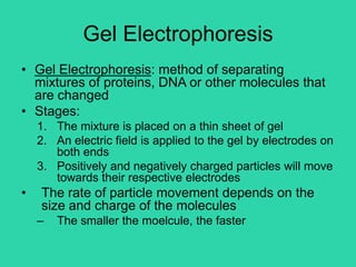 Topic 4: Genetics | PPT