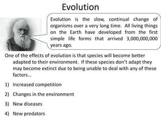 Summary of Topic 4.1 - biodiversity in ecosystems | PPT