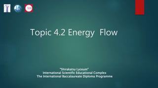 Topic 4.2 Energy Flow | PPT