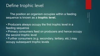 Topic 4.2 Energy Flow | PPT