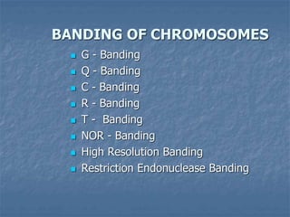 Karyotyping and chromosomal analysis in clinical genetics | PPT