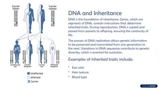 Understanding Nucleic Acids: DNA, RNA, and Genetic Inheritance ...