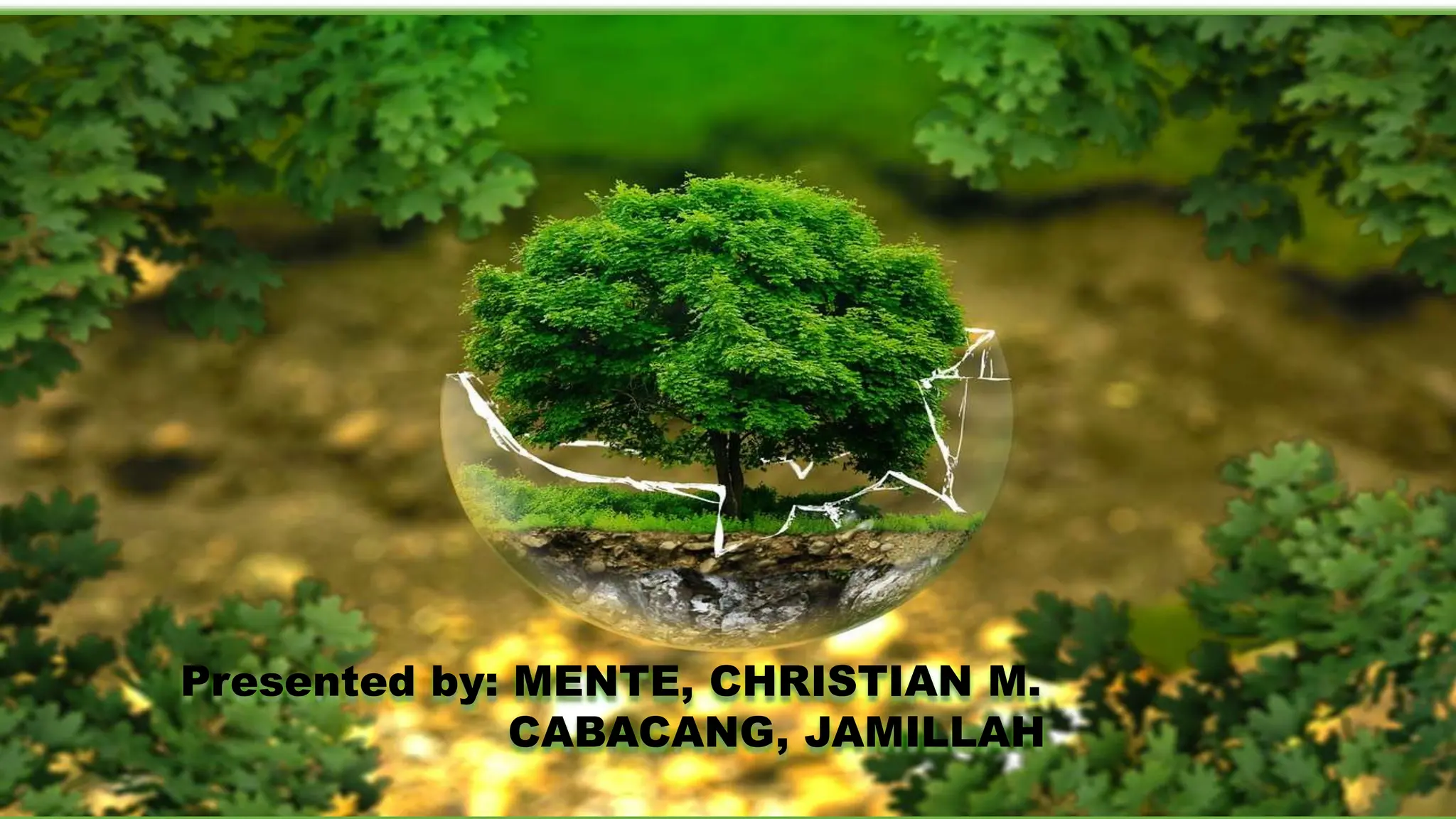 TOPIC_4-ECOSYSTEM REPORT IN ENVIRONMENTAL SCIENCE.pptx