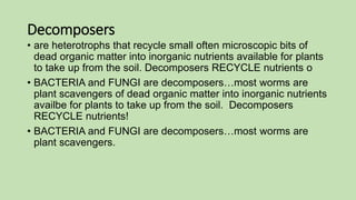TOPIC_4-ECOSYSTEM REPORT IN ENVIRONMENTAL SCIENCE.pptx