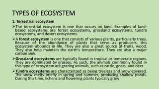 TOPIC_4-ECOSYSTEM REPORT IN ENVIRONMENTAL SCIENCE.pptx