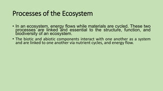 TOPIC_4-ECOSYSTEM REPORT IN ENVIRONMENTAL SCIENCE.pptx