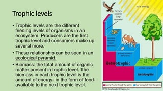 TOPIC_4-ECOSYSTEM REPORT IN ENVIRONMENTAL SCIENCE.pptx