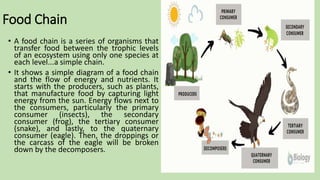 TOPIC_4-ECOSYSTEM REPORT IN ENVIRONMENTAL SCIENCE.pptx