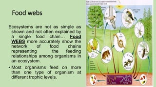 TOPIC_4-ECOSYSTEM REPORT IN ENVIRONMENTAL SCIENCE.pptx
