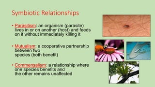 TOPIC_4-ECOSYSTEM REPORT IN ENVIRONMENTAL SCIENCE.pptx