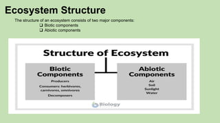 TOPIC_4-ECOSYSTEM REPORT IN ENVIRONMENTAL SCIENCE.pptx